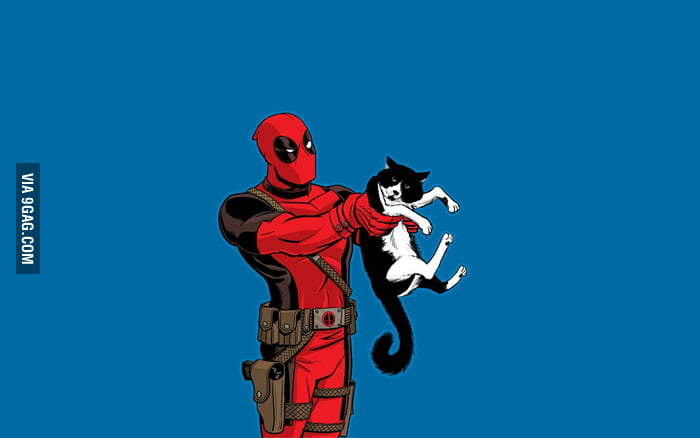 Deadpool holding a cat... just in case you're feeling down - 9GAG