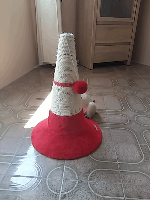 VLC player - 9GAG