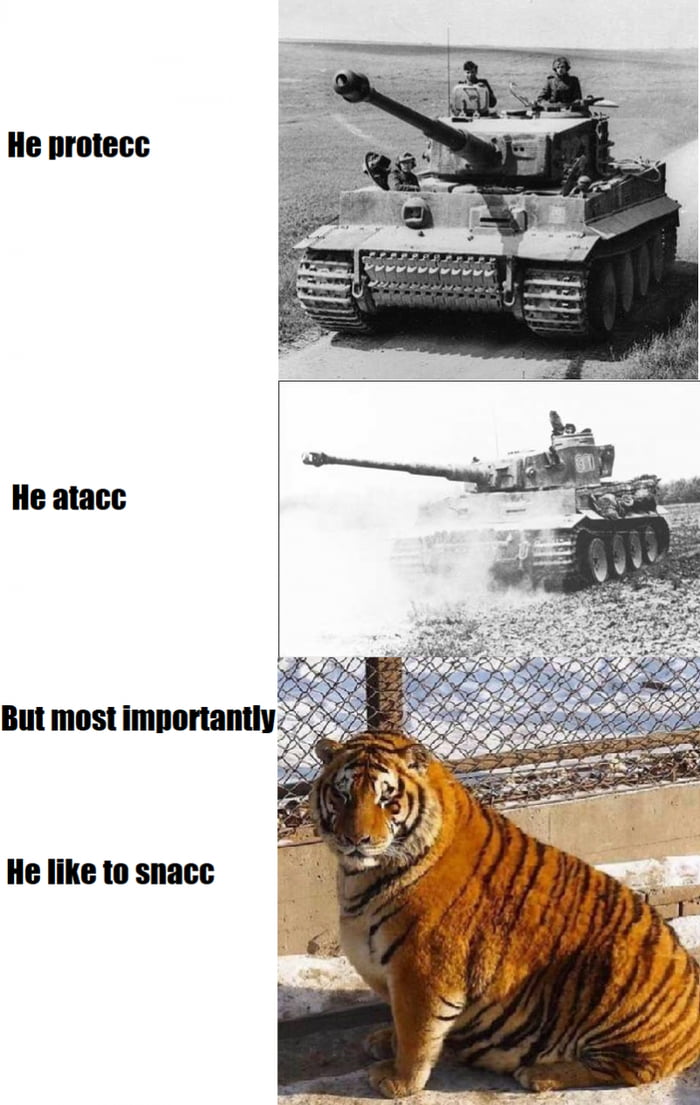 Tough kitty, cold kitty, big machine of doom. Deadly kitty, panzer kitty, Boom, boom boom. - 9GAG