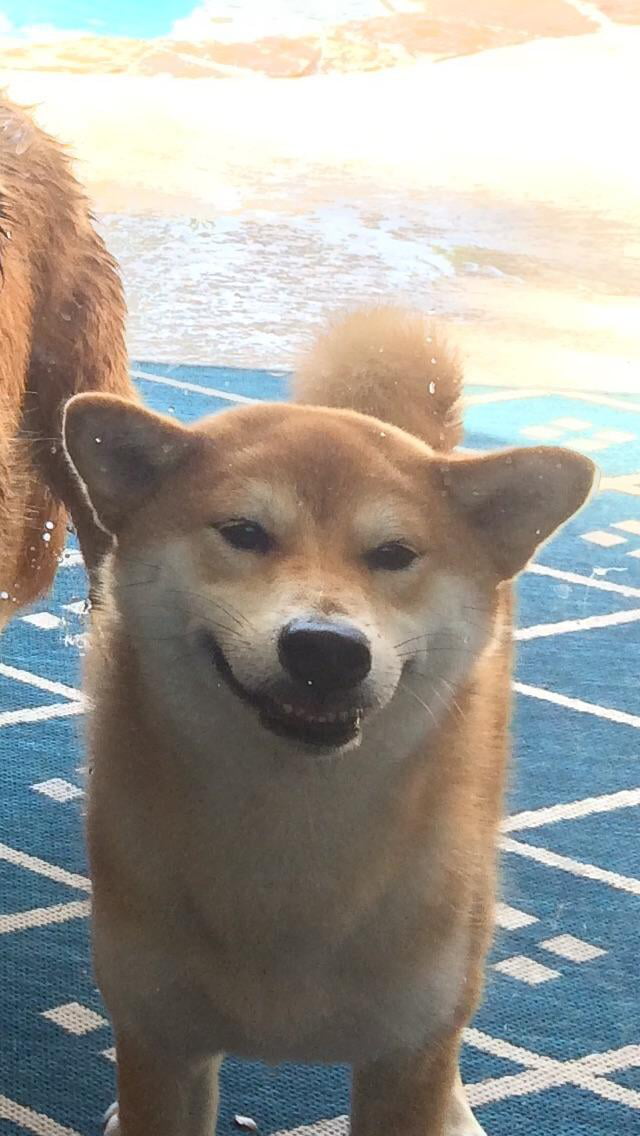 Happy derp face - 9GAG