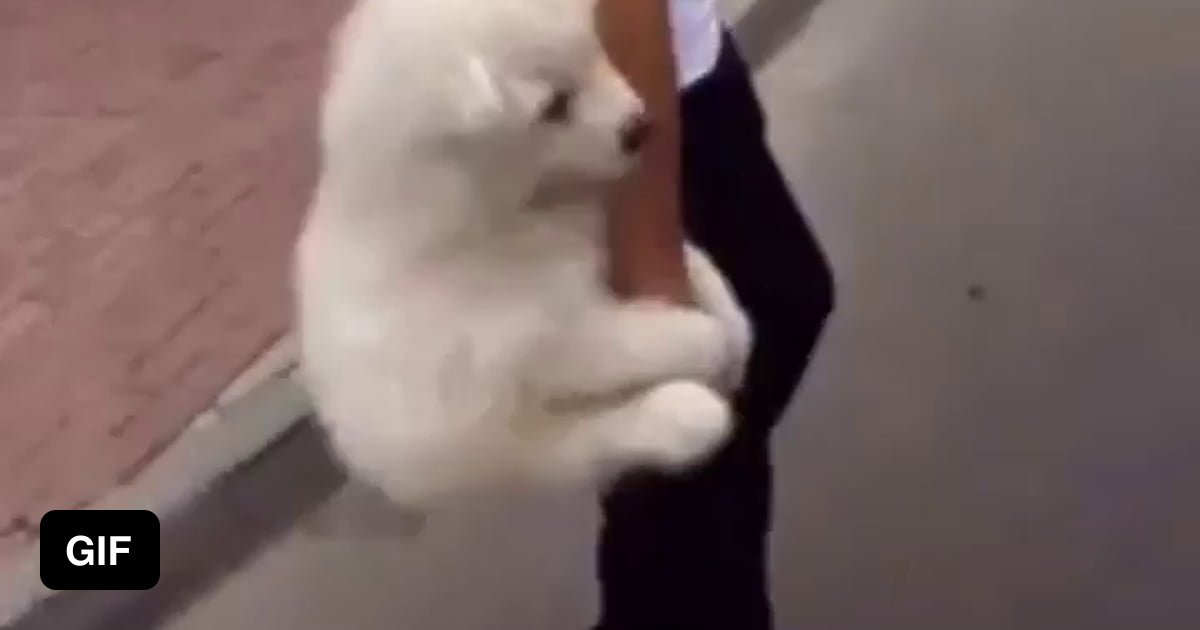 A walk turned into a hoo man friend - 9GAG