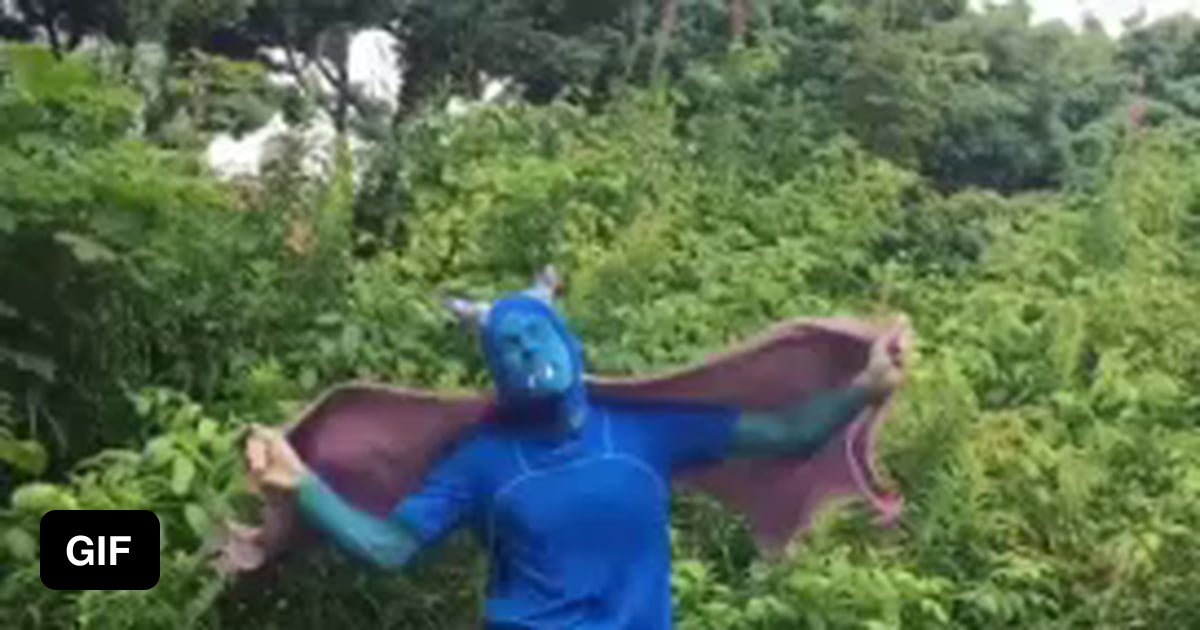 Pokemon GO IRL - 9GAG