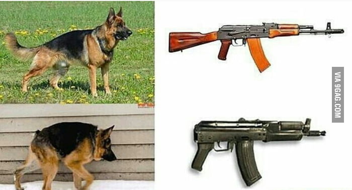 Tactical doggo - 9GAG