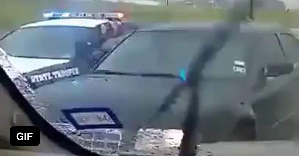 Cop stuck in car window - 9GAG