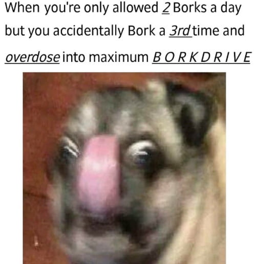R.I.P in peace Pupper Bless - 9GAG
