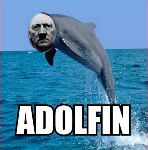 You get it? adolfin,like a dolphin,hahaha,love me plz - 9GAG
