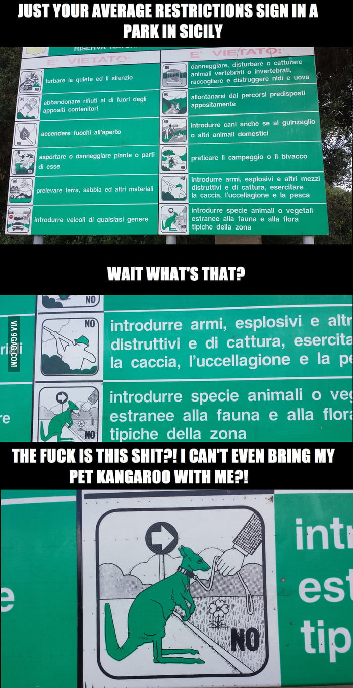Kangaroo stay! Bad Kangaroo! - 9GAG