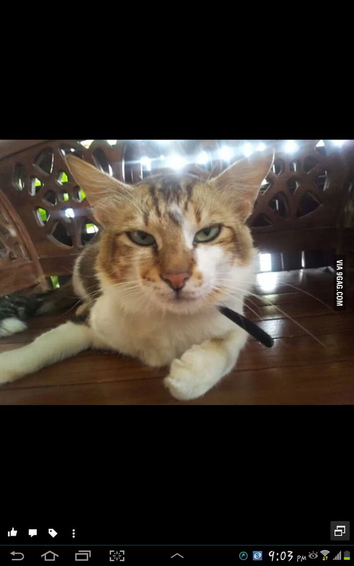 Dafuq do you want? - 9GAG