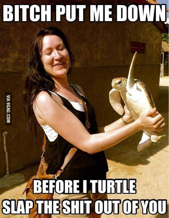Turtle B*tch Slap - 9GAG