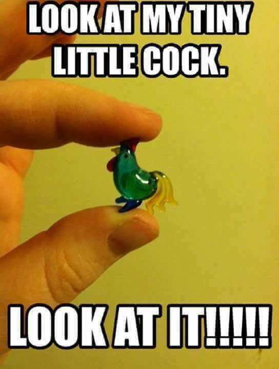 Look at my tiny little cock! - 9GAG