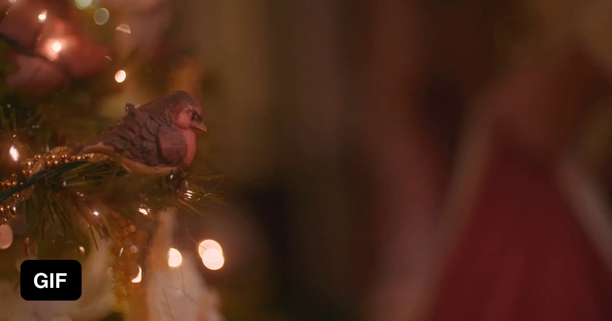 Santa leaves no witnesses - 9GAG