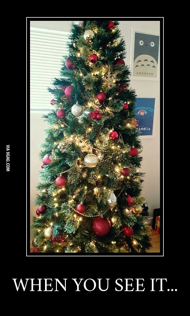Obi loves Christmas! - 9GAG