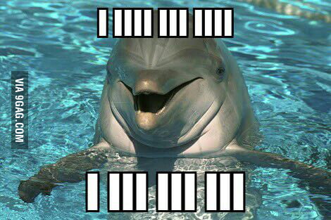 A dolphin meme - 9GAG