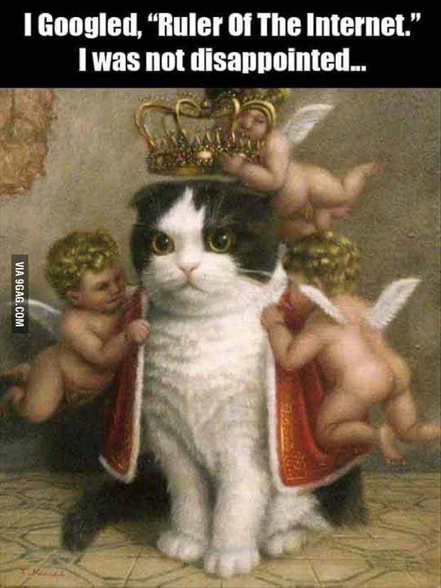 Ruler of the Internet. - 9GAG