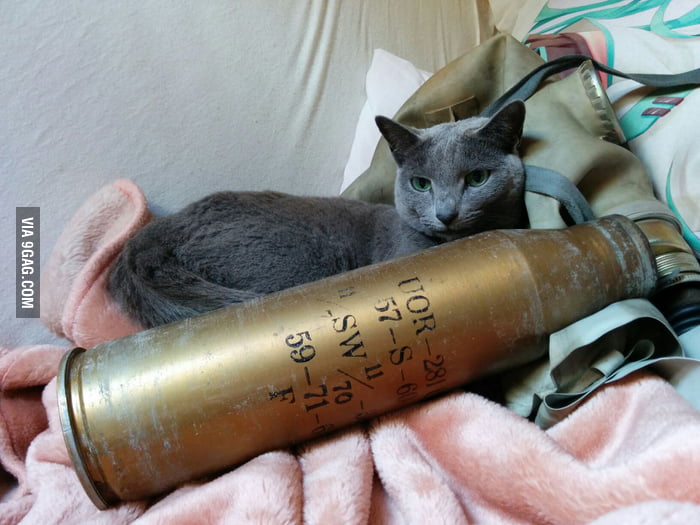 57mm shell from WWII. No bananas on the house, cat for scale - 9GAG