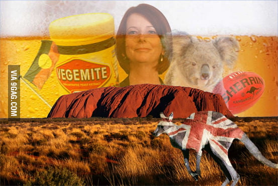 Looked up the most Australian picture ever I was not disappointed - 9GAG
