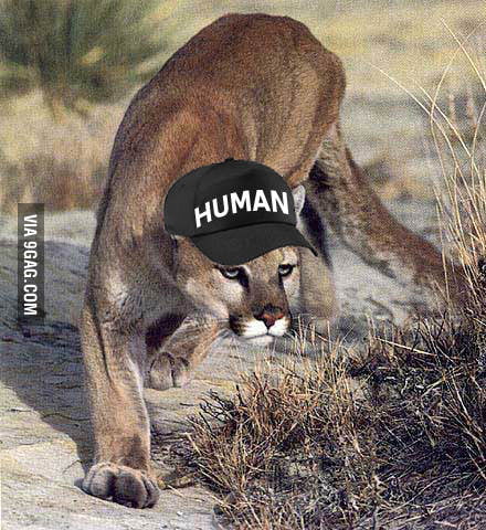 In a parallel universe PUMAS wear "HUMAN" - 9GAG