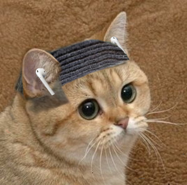 Grafics cat wave check - 9GAG