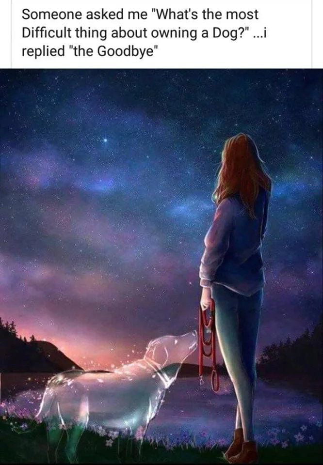 I will miss you.. - 9GAG