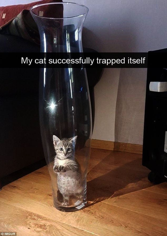 Just dropping this here - 9GAG