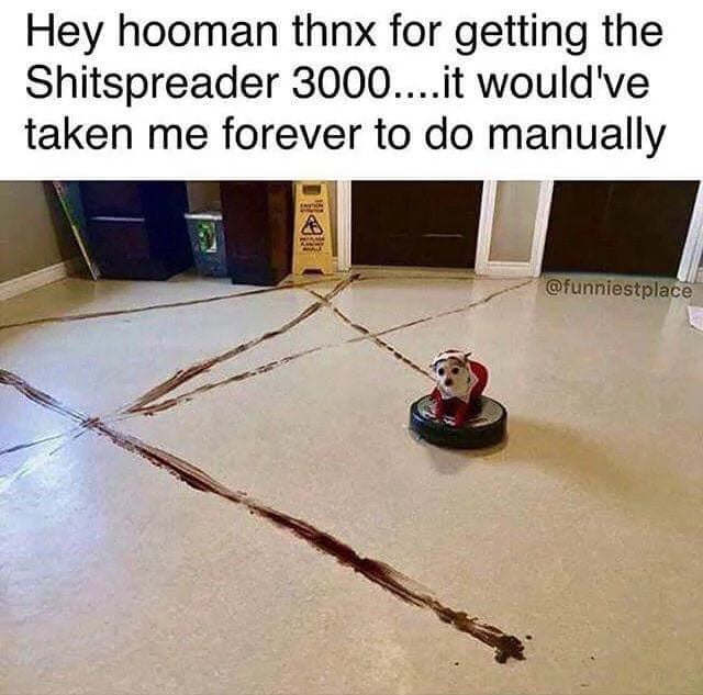 The best thing ever! - 9GAG