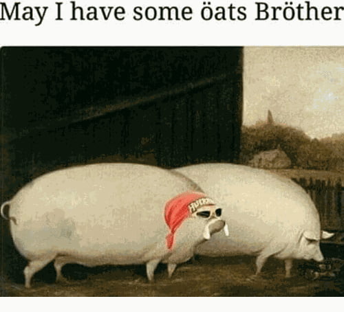 Brother - 9GAG