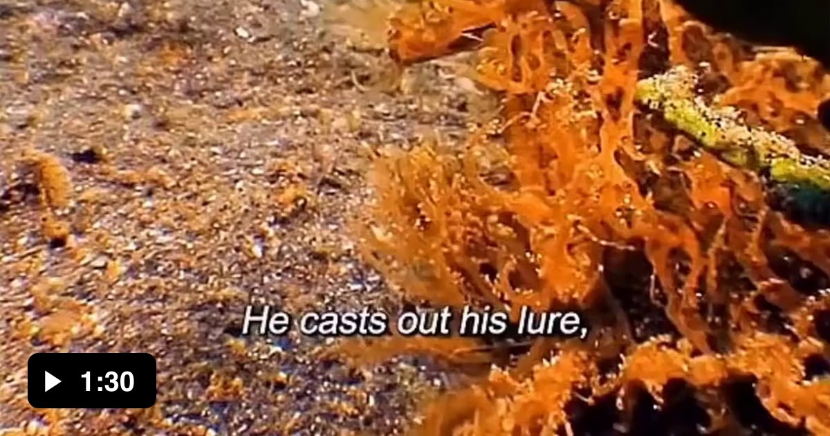 The illusion of decrepitude is shattered - 9GAG