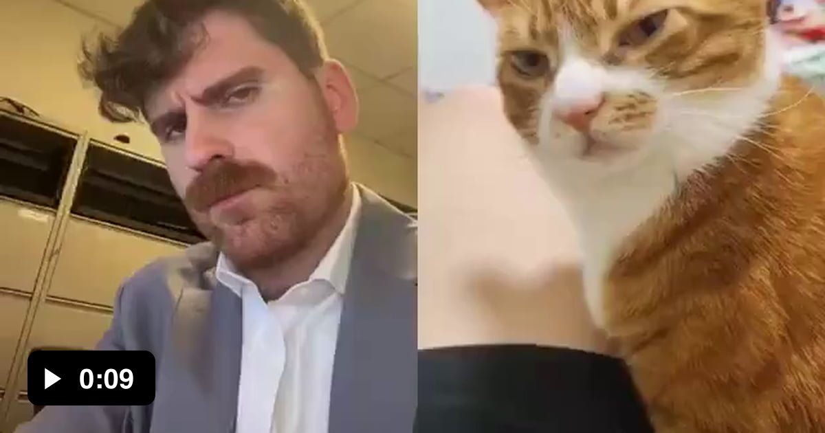 I can just post cat's . According to the moderators I am an outlaw. - 9GAG