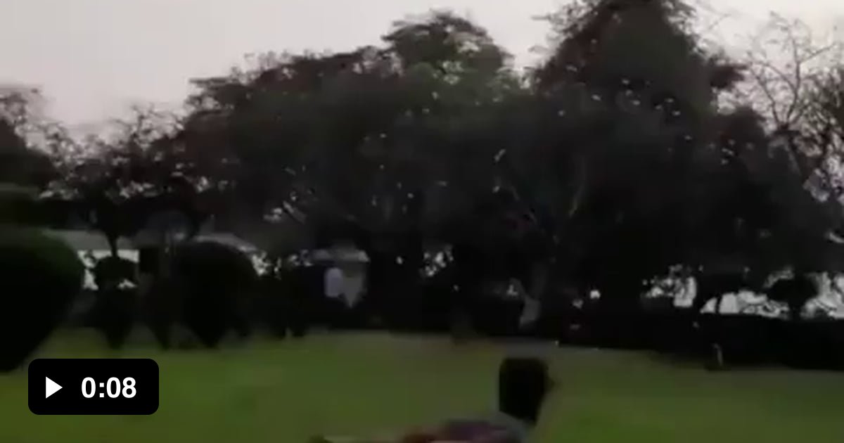 Monkey see, monkey do. - 9GAG