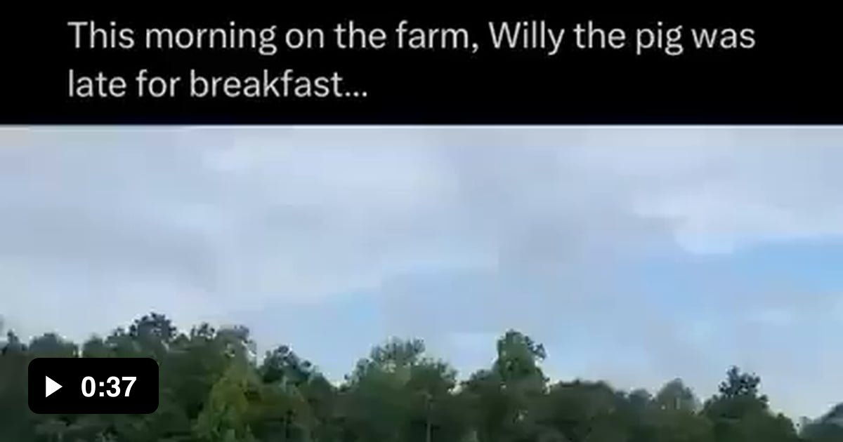 Going wee-wee-wee, all the way home. - 9GAG