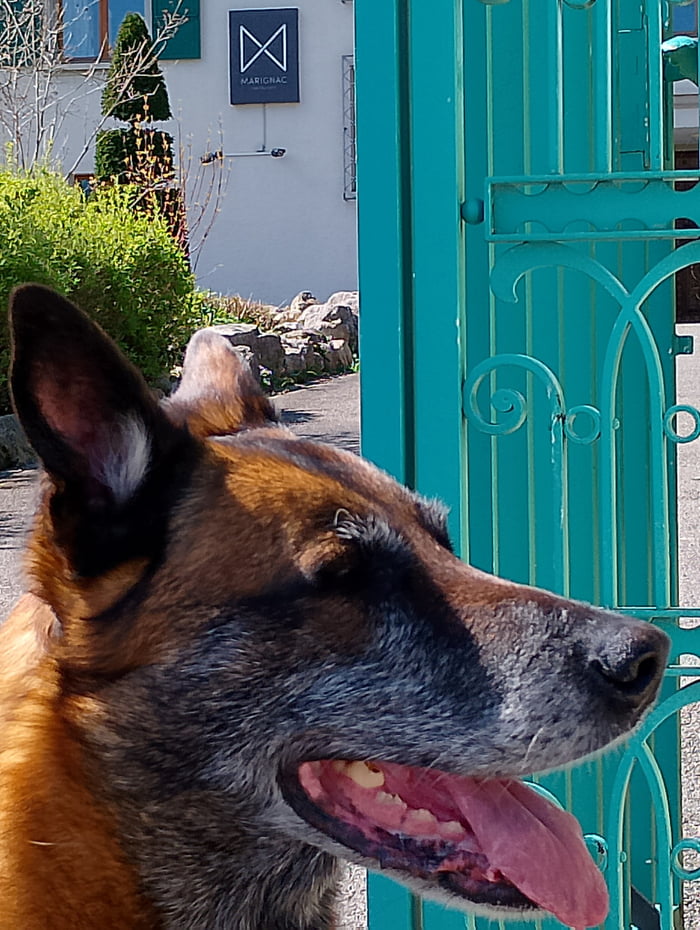 Tough day ? Visit your local Monarch outpost. - 9GAG