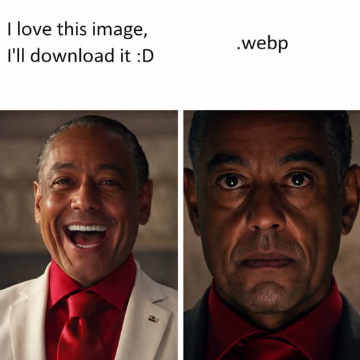 Webp is useless, isn't? - 9GAG
