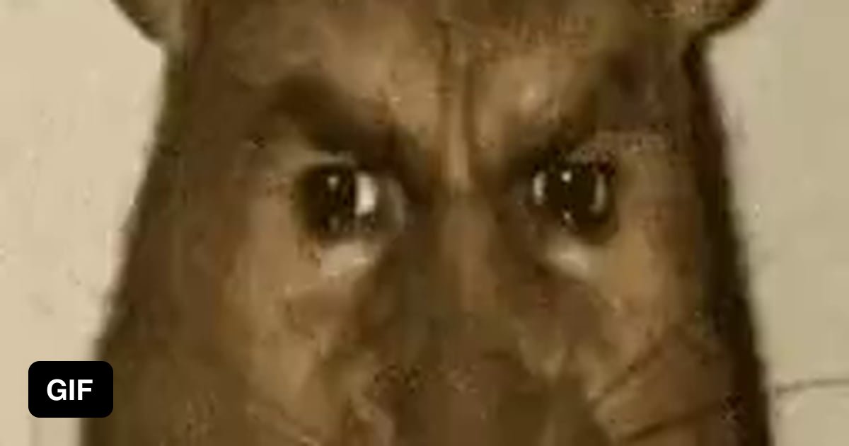 Time for cursed - 9GAG