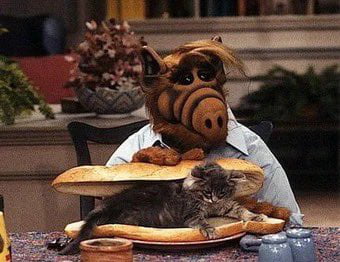 Illegal alien eating cat in Springfield 2024 colored - 9GAG