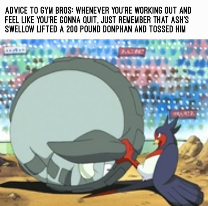 Ash's Swellow was built different - 9GAG