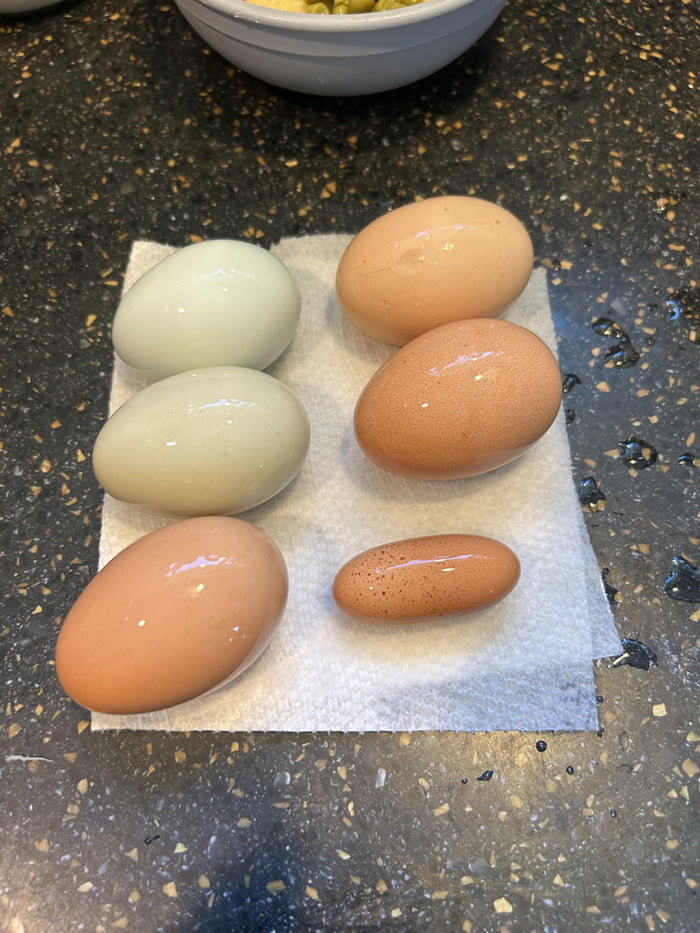 Weird egg! - 9GAG