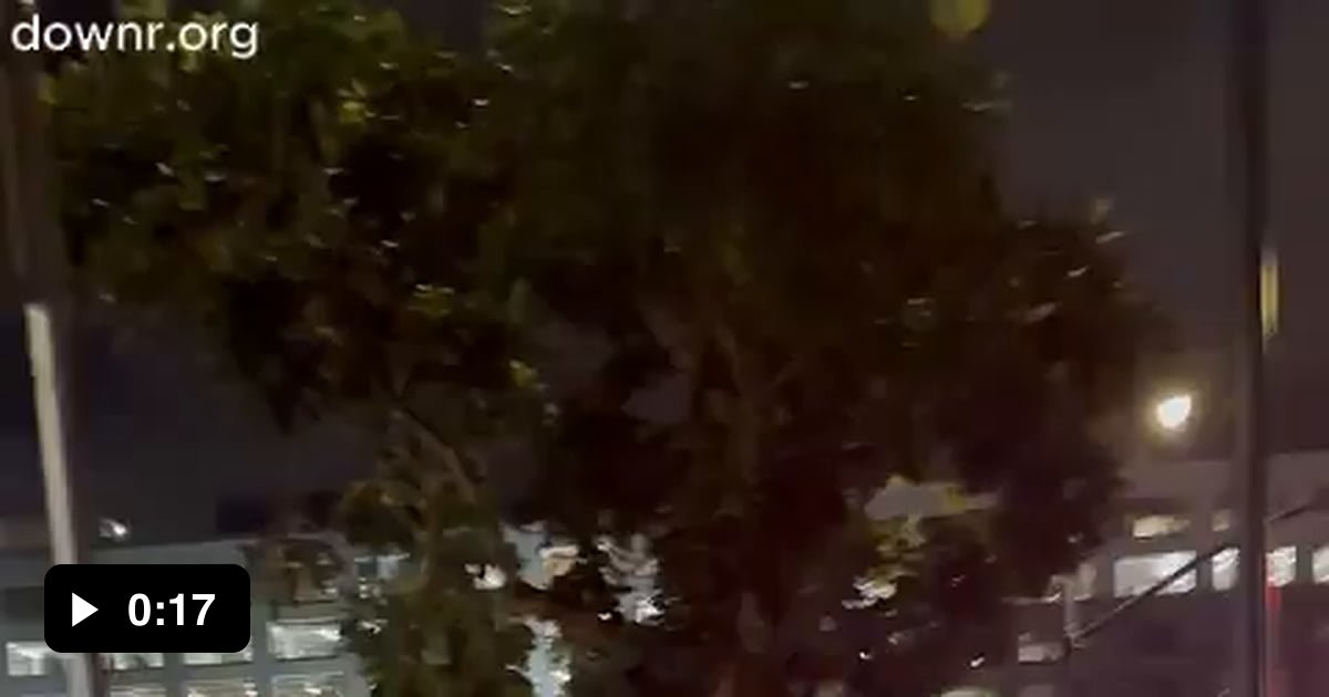 Tesla cyber truck owner repeatedly perform nazi salute - 9GAG