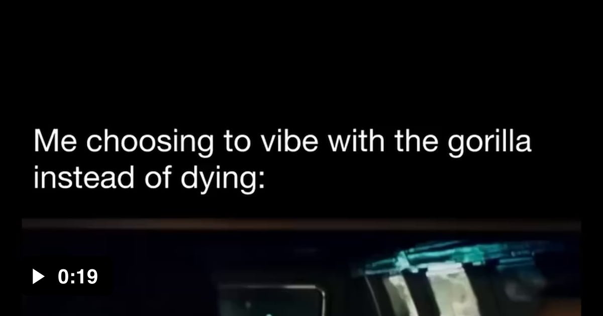 When chilling with a gorilla is safer than adulting. - 9GAG