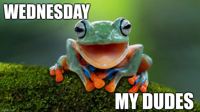 We made it to midweek, we will survive this week too! - 9GAG