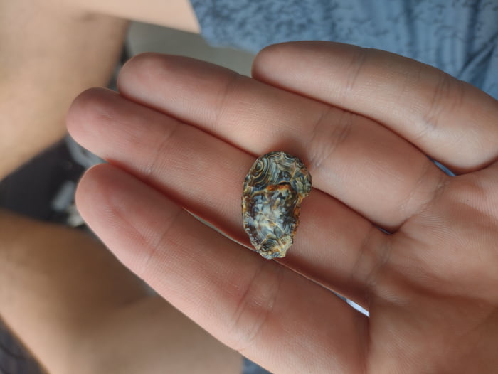 We like to share our cats and sticks we find. But what about cool rocks ...