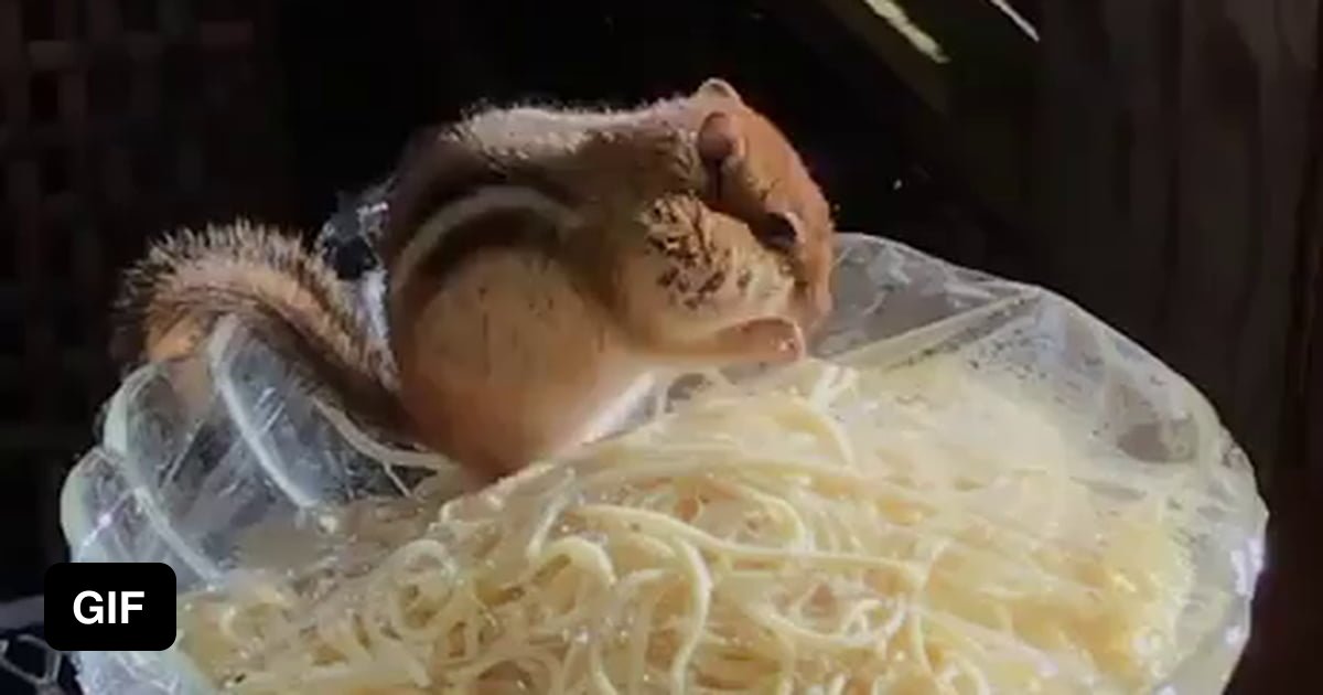 Spaghetti time - 9GAG