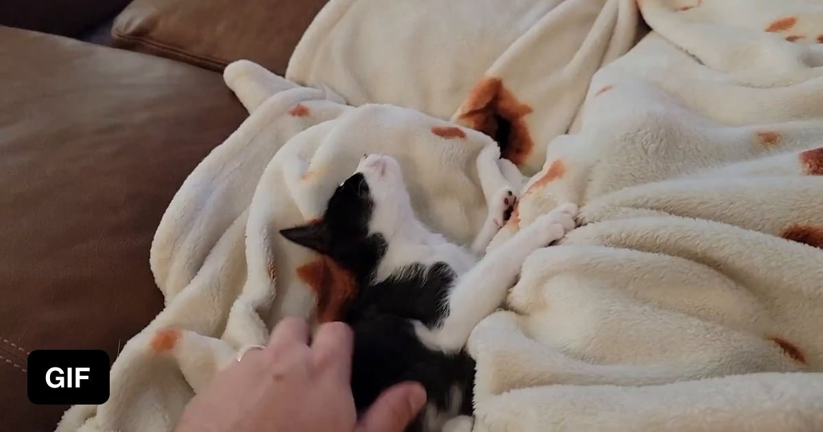 Baby Dingus from the archives - 9GAG