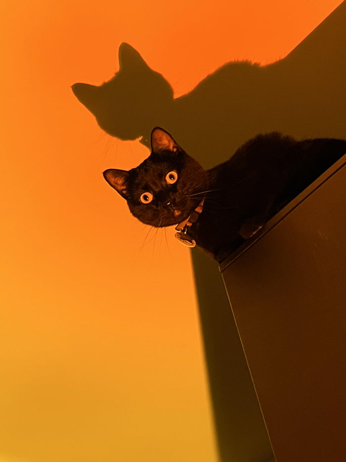 Show me the most…unsettling photo of your void - 9GAG