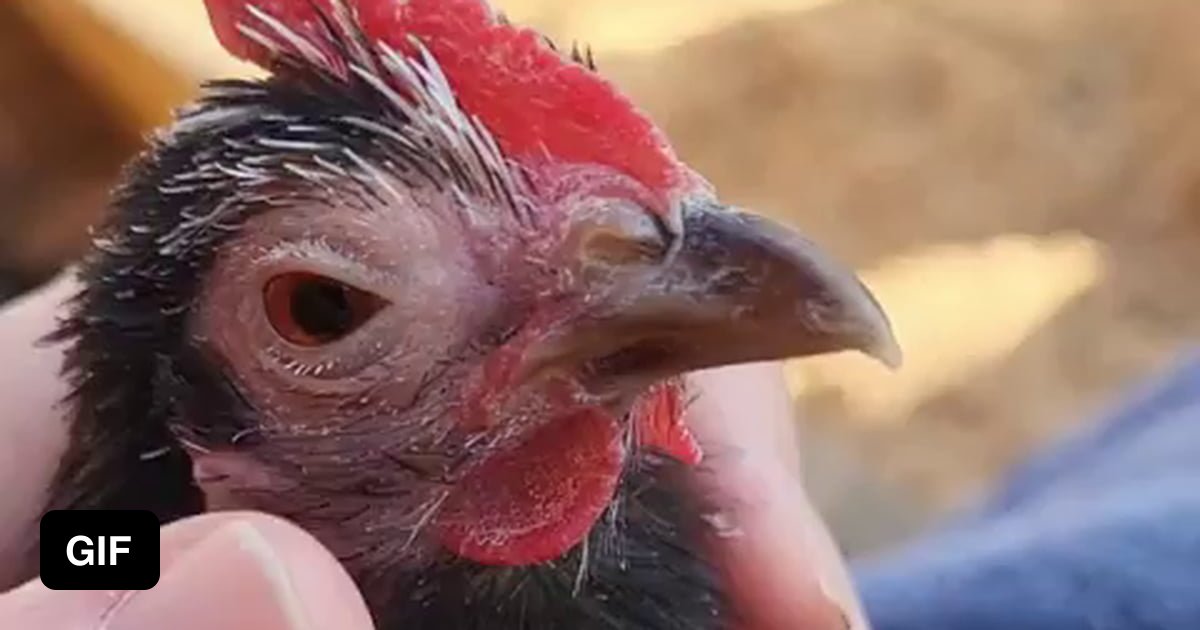 Rub-a-dub-dub - 9GAG