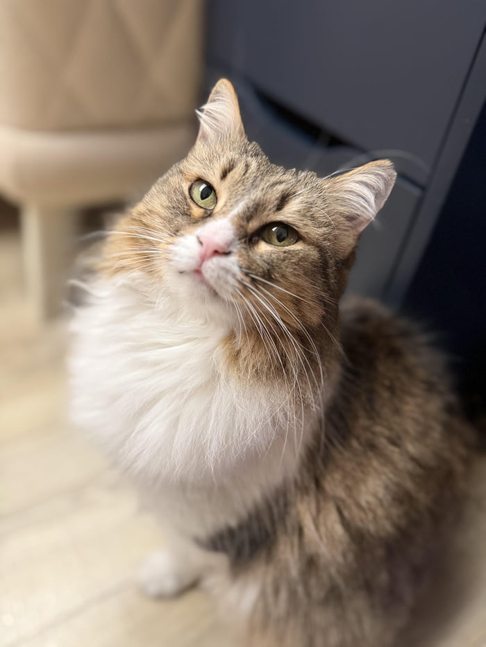 She’s clever always watching my movements - 9GAG