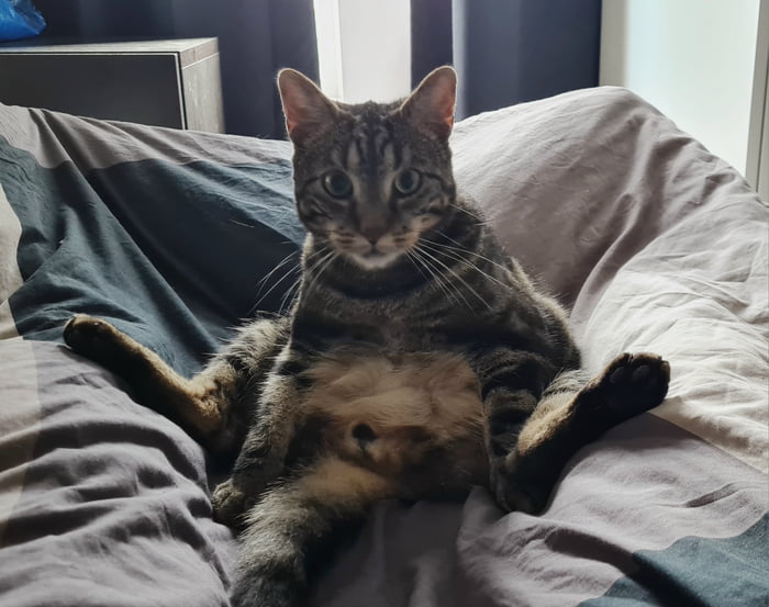 Skip likes to sit on his butt - 9GAG