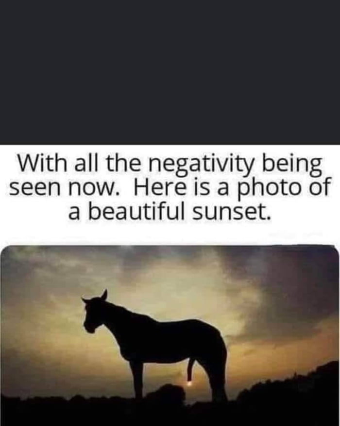 Enjoy the sun! - 9GAG