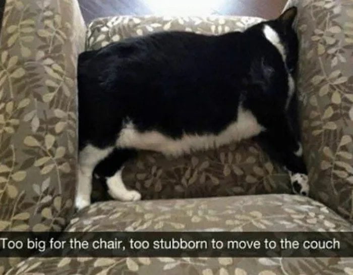 This chair is mine now. - 9GAG