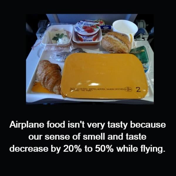 Shut up, it’s delicious. - 9GAG