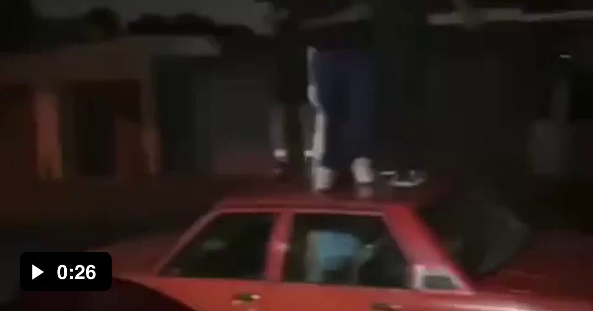3 men jump on car to escape pit bulls - 9GAG